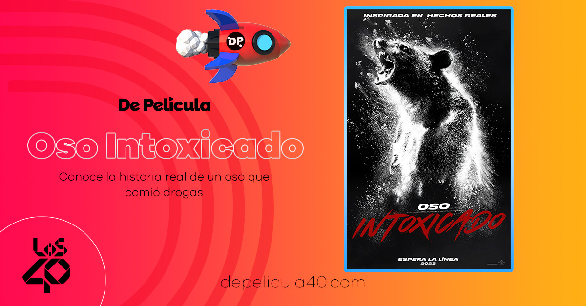 Oso Intoxicado