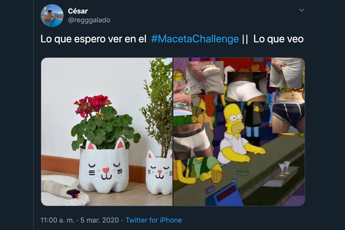 Memes De Maseca